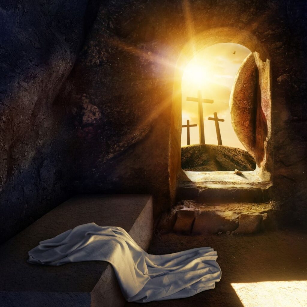 Live - Learn How to Sign