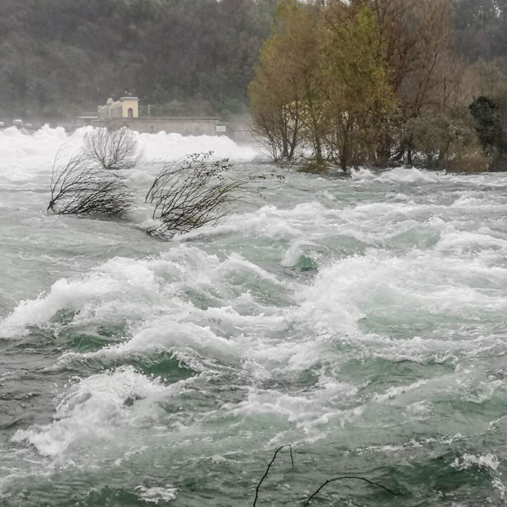 Flood - Learn How to Sign