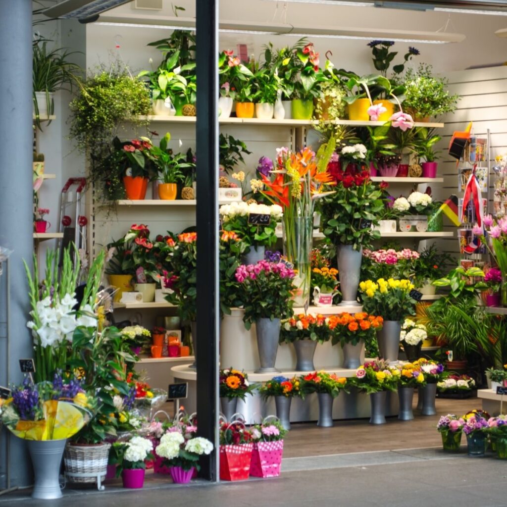 Middle School - Learn How to Sign